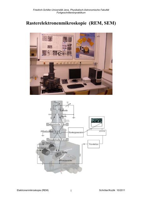 Rasterelektronenmikroskopie (REM, SEM) - Friedrich-Schiller ...