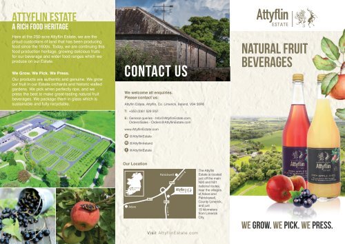 Attyflin Natural Fruit Beverages