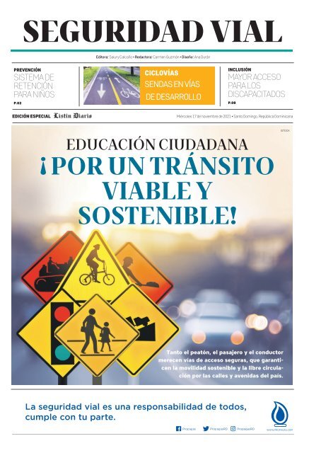SEGURIDAD VIAL