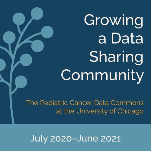 PCDC Annual Report 2020-21