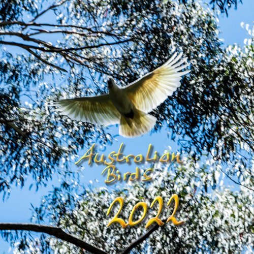 2021 09 29 Aussie 2022 gold normal