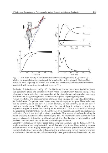 24 Human Musculoskeletal
