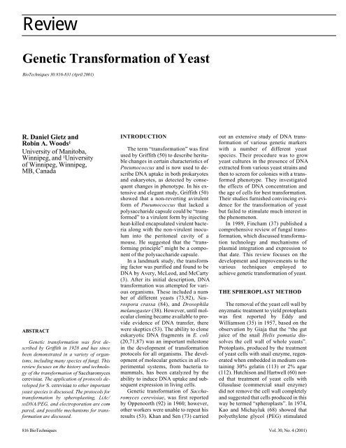 Genetic Transformation of Yeast - BioTechniques