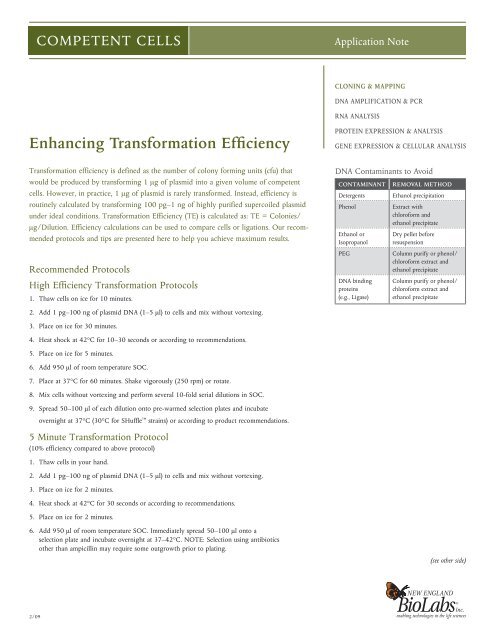 enhancing Transformation efficiency - New England Biolabs