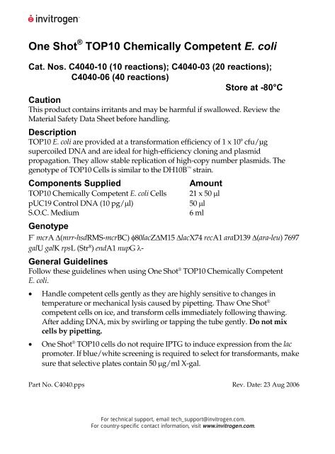 One Shot TOP10 Competent Cells - Invitrogen