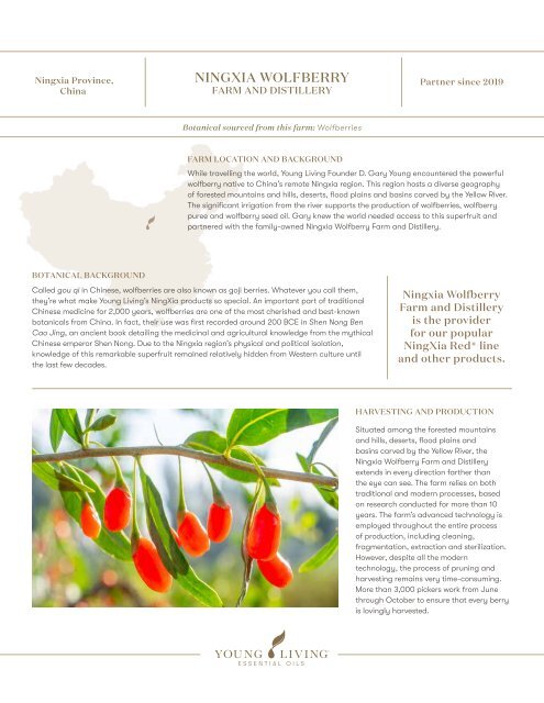 NingXia Red Farm Story