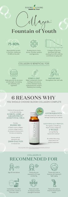 BLOOM Collagen Complete Infographic