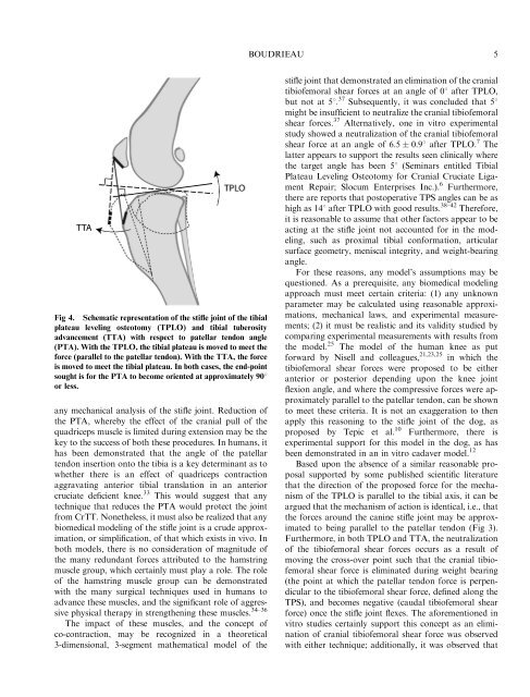4 TPLO OR TTA? Both the