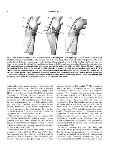 8 TPLO OR TTA? Fig 7. Sch