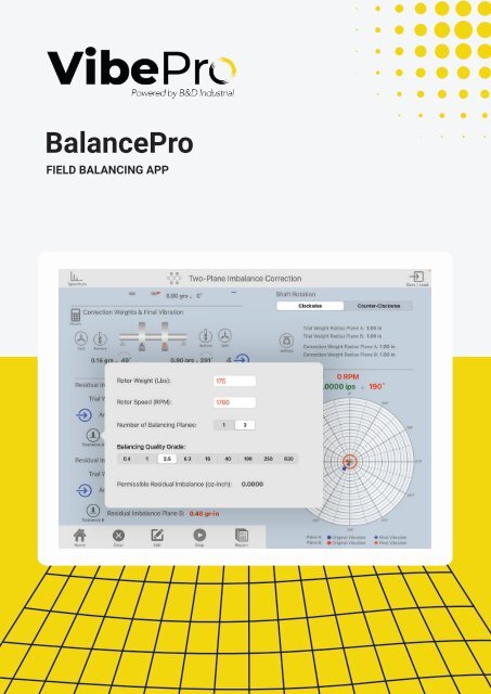 BalancePro