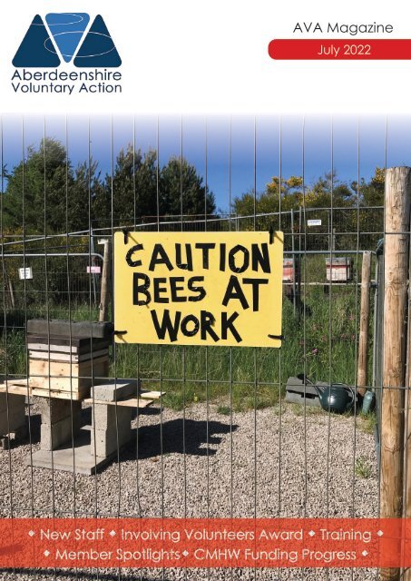 AVA Magazine: July 22