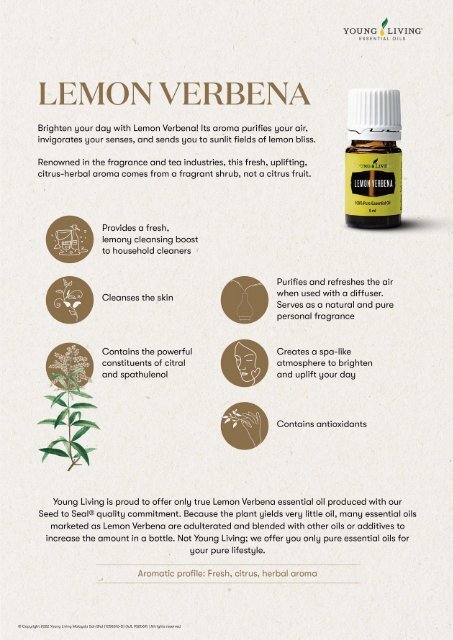 Lemon Verbena Infographic