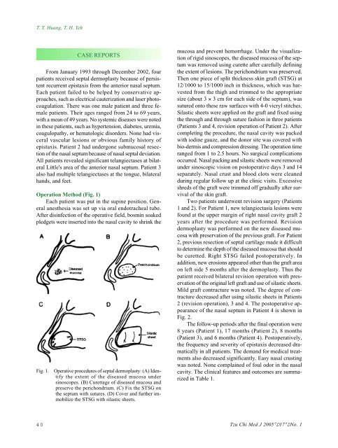 T. T. Huang, T. H. Yeh 40