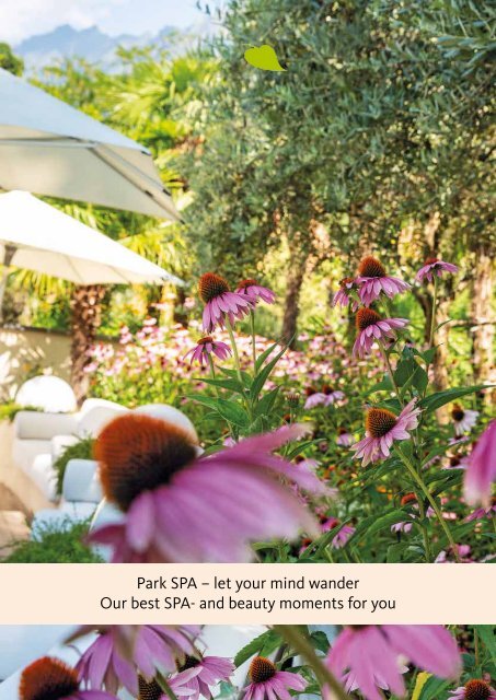 Park Spa - let your mind wander