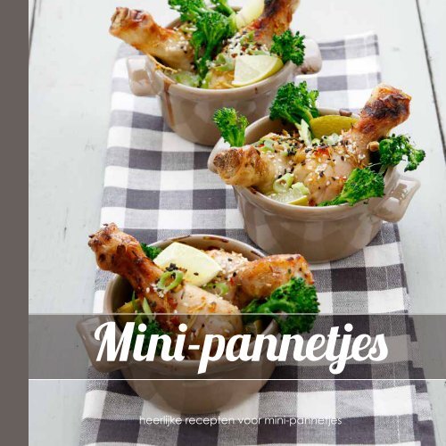 INKIJKEXEMPLAAR - Mini Pannetjes