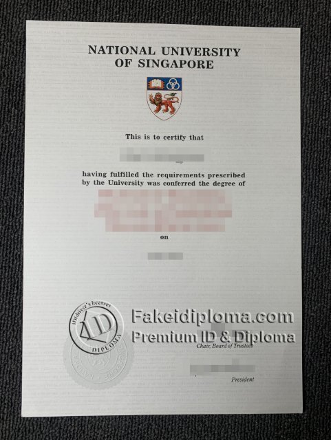 NUS degree, National University of Singapore bachelor's degree