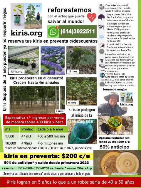 Kiri