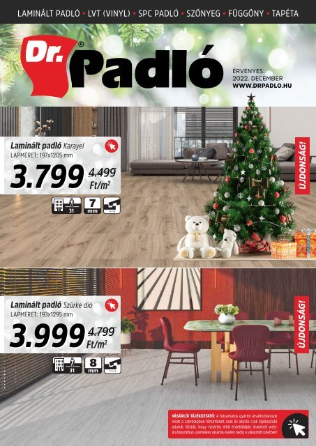 Dr. Padló szórólap | 2022. december