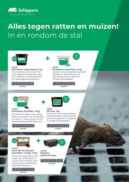 Ratten_Muizen_BE