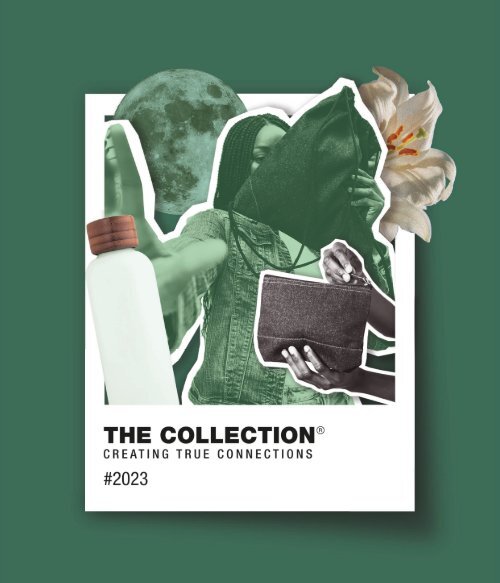 The Collection 2023 - PTG