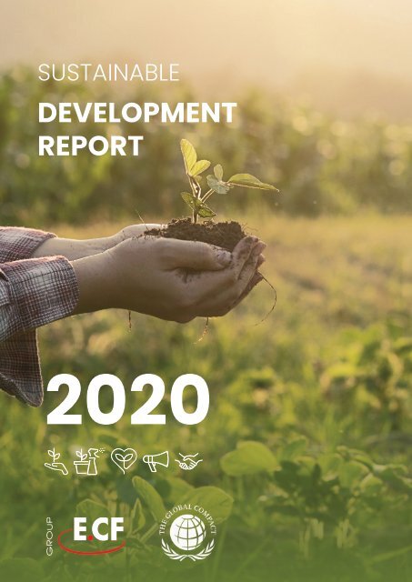 NZ ECF Sustainable Development Report 2020
