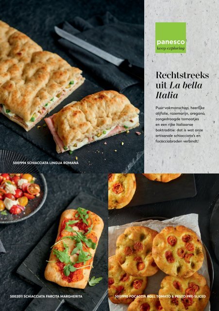 panesco keep exploring Re