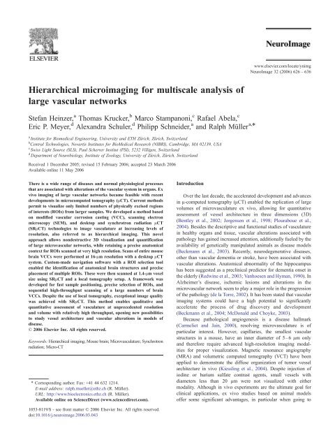 Hierarchical microimaging for multiscale analysis of large ... - vasQtec