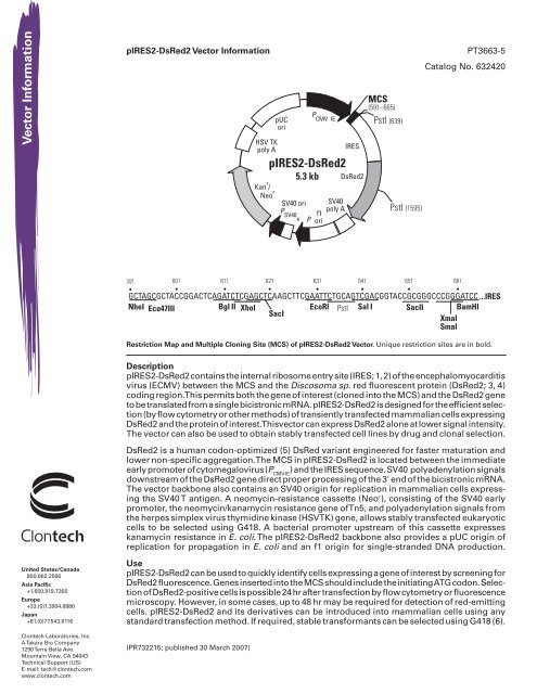 V ector Information pIRES2-DsRed2 - Gene Synthesis