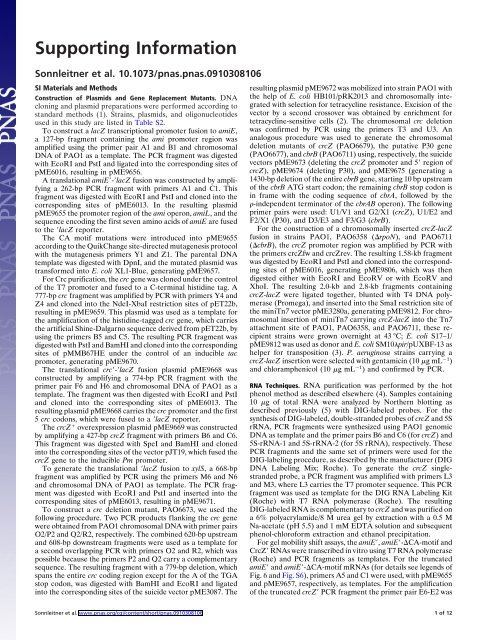 Supporting Information