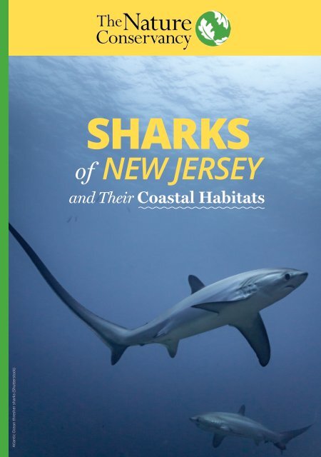 2023_TheNatureConservancy_June_Digital_Issue