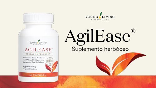 Presentación en PowerPoint de AgilEase