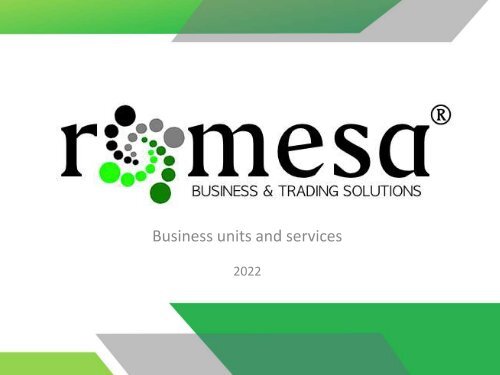 ROMESA AERONAUTICAL SERVICES 2022