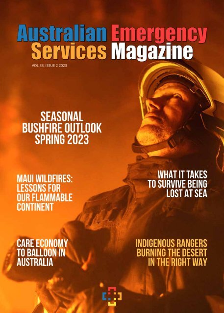 AESM Vol 33, ISSUE 2 2023