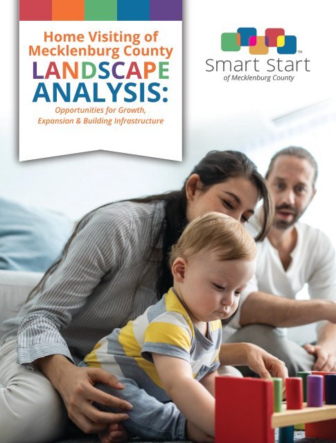 Home Visiting of Mecklenburg County LANDSCAPE ANALYSIS: Opportunities ...