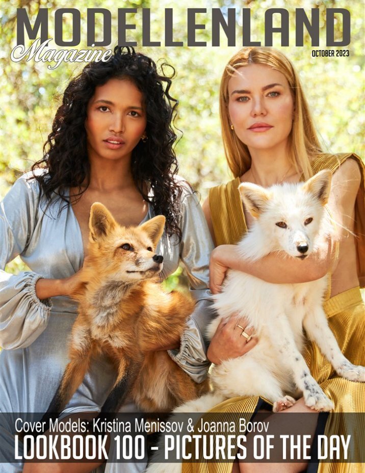 210 free Magazines from MODELLENLAND