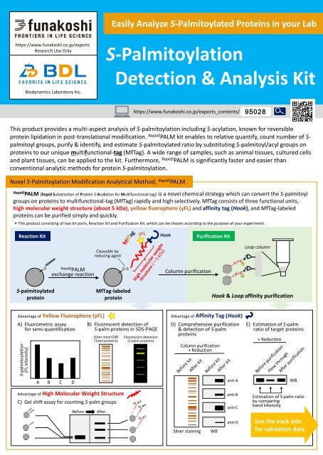RapidSPALM, Protein S-Palmitoylation Detection Kit