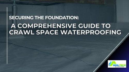 Securing the Foundation: A Comprehensive Guide to Crawl Space Waterproofing