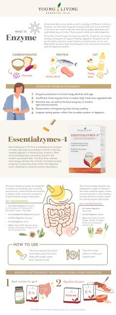 Essentialzymes-4 Infographic