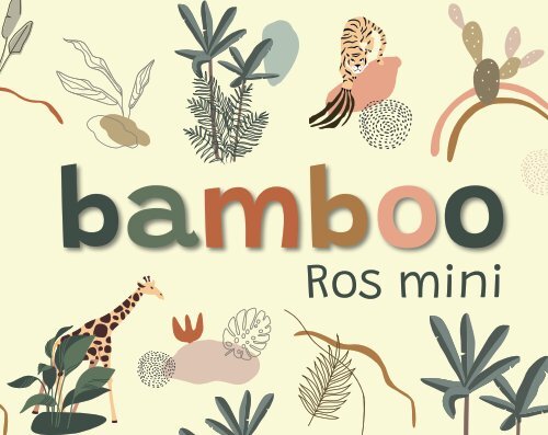 bamboo ros mini