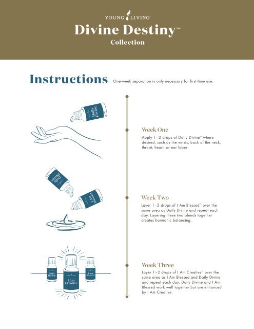 Divine Destiny Collection Usage Infographic