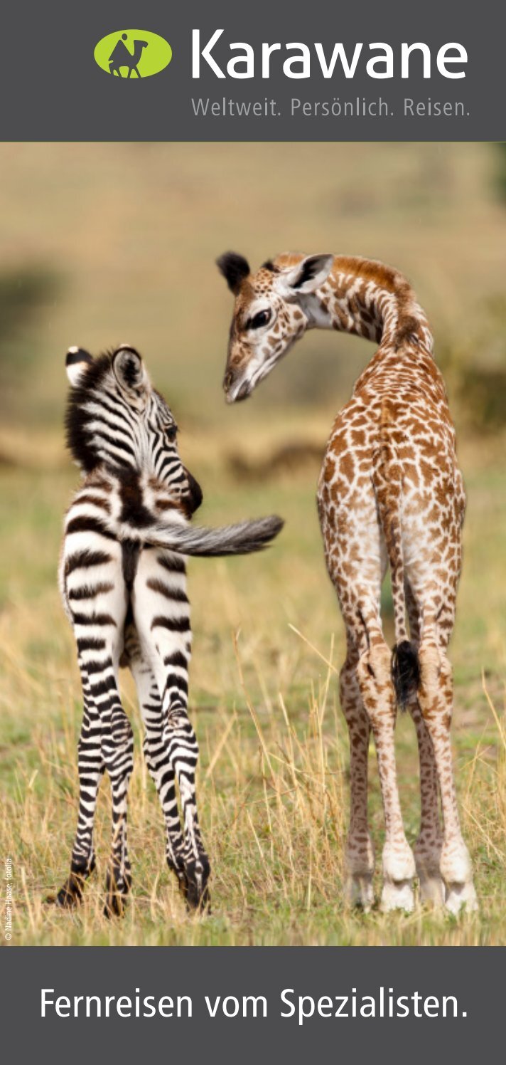 2025-Jubiläumskatalog