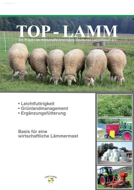 TOP - LAMM