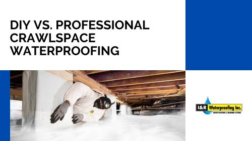 DIY vs. Professional Crawlspace Waterproofing