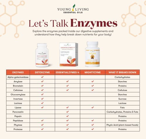 Enzymes Comparison Infographic | Digital Library | Young Living