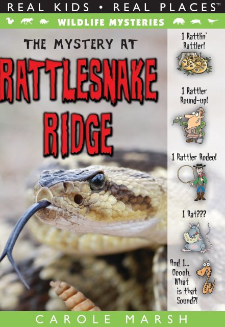 The Mystery at Rattlesnake Ridge