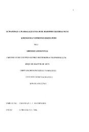 Isilandiso: Isikhanyiso: