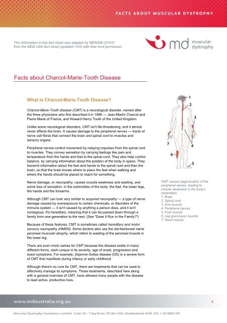 Facts about Charcot-Marie-Tooth Disease