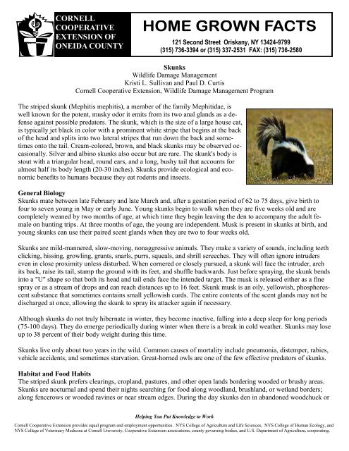Skunk - Cornell University
