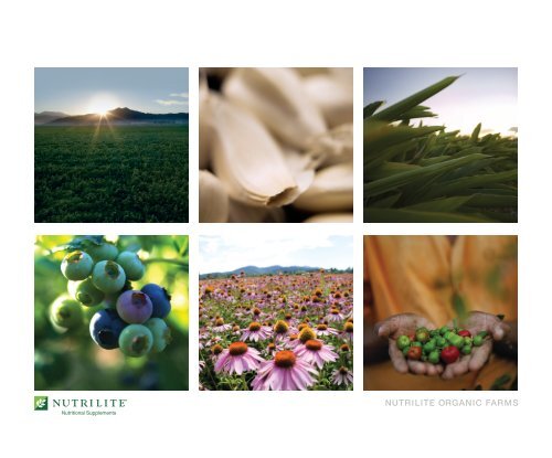 NUTRILITE ORGANIC FARMS - Amway