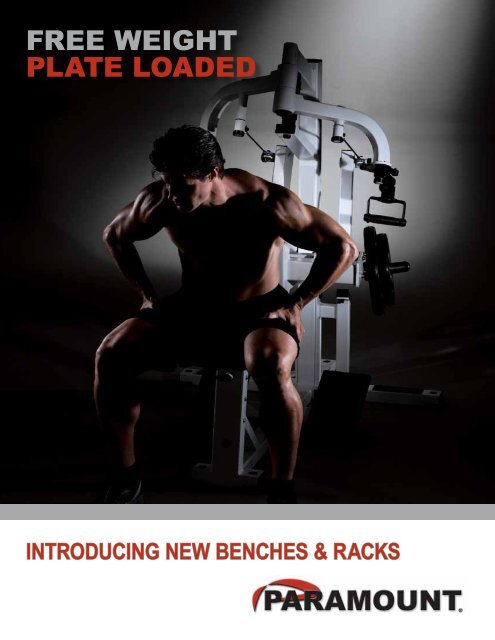 Overhead Triceps Extension Machine Paramount